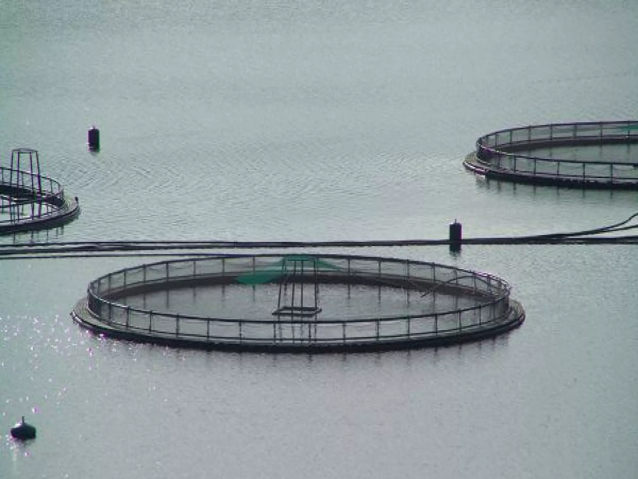 Sec 4 Exp Green & Blue Revolution | PPT