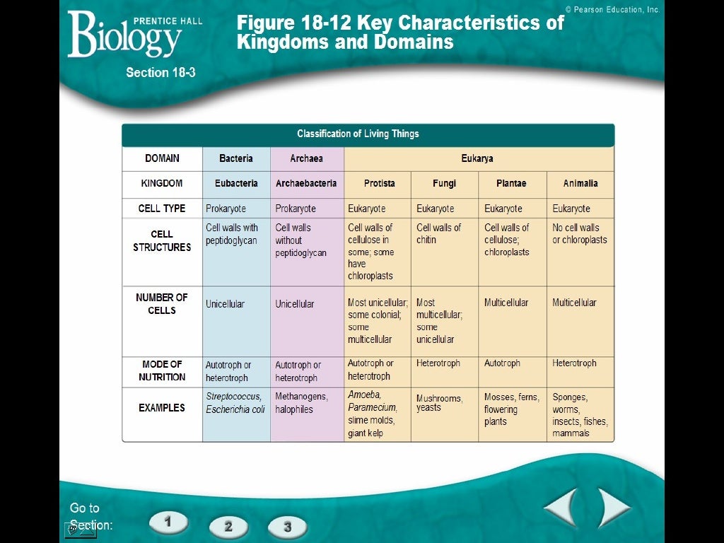 Green Book Classification green-book-classification