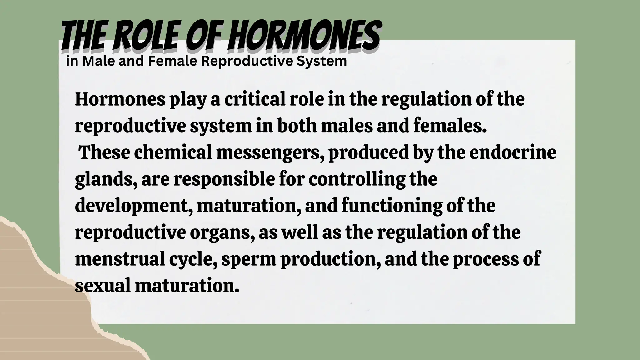 HORMONES AND ITS ROLES IN THE HUMAN REPRODUCTIVE SYSTEM | PDF
