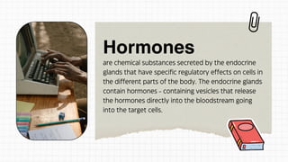 HORMONES AND ITS ROLES IN THE HUMAN REPRODUCTIVE SYSTEM | PDF
