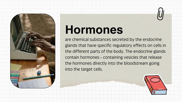 HORMONES AND ITS ROLES IN THE HUMAN REPRODUCTIVE SYSTEM | PDF