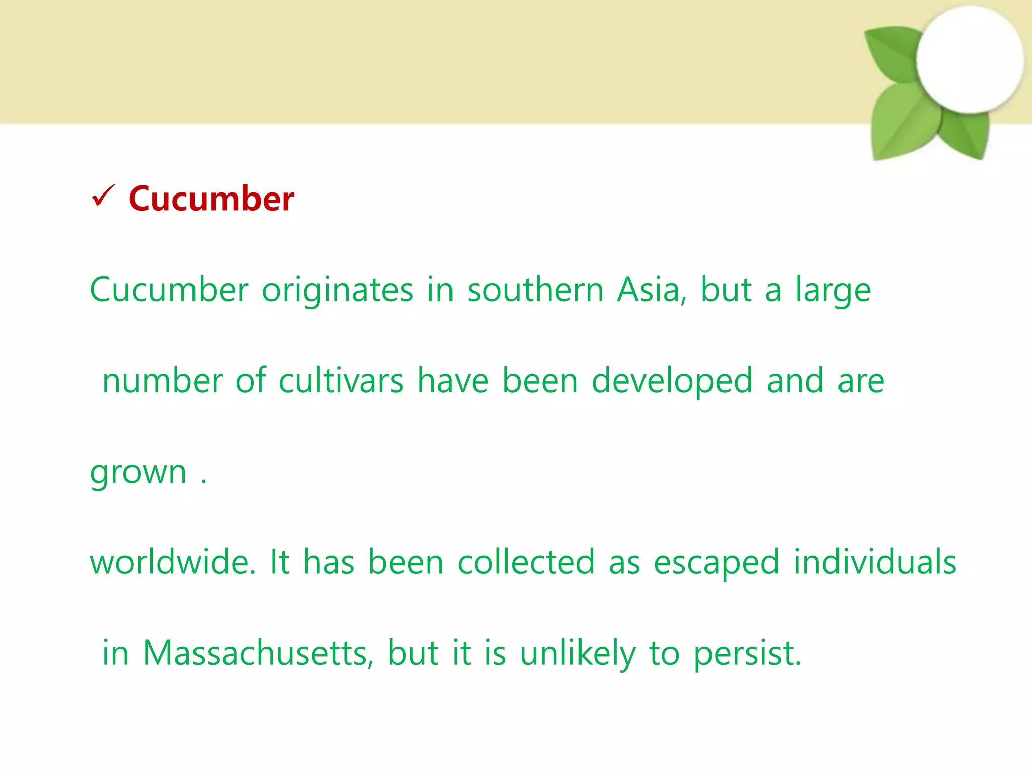 Family Cucurbitaceae | PPTX