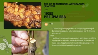 Pre-Integrated Pest Management Era Presentation | PPTX