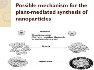 Green-synthesis-of-metal-nanoparticles-ppt.pptx