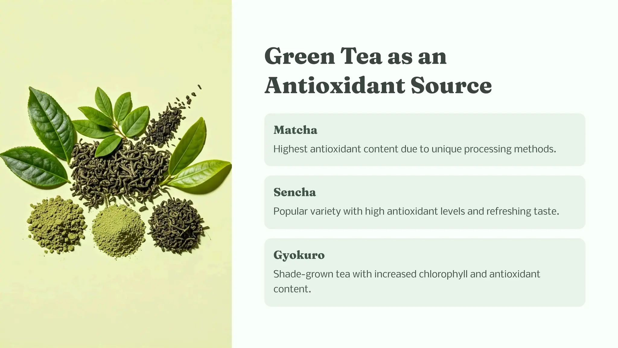 Green Tea with Highest Antioxidants | PDF