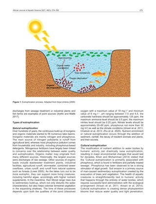 Green technology-for-bioremediation-of-the-eutrophication-phenomenon-in ...