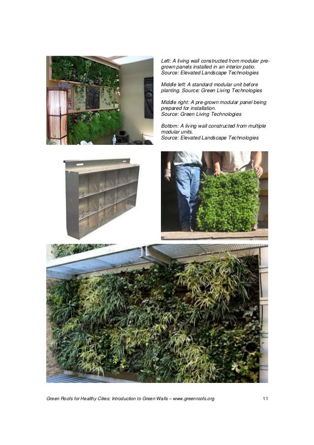 Introduction to Green Walls Technology and Benefits