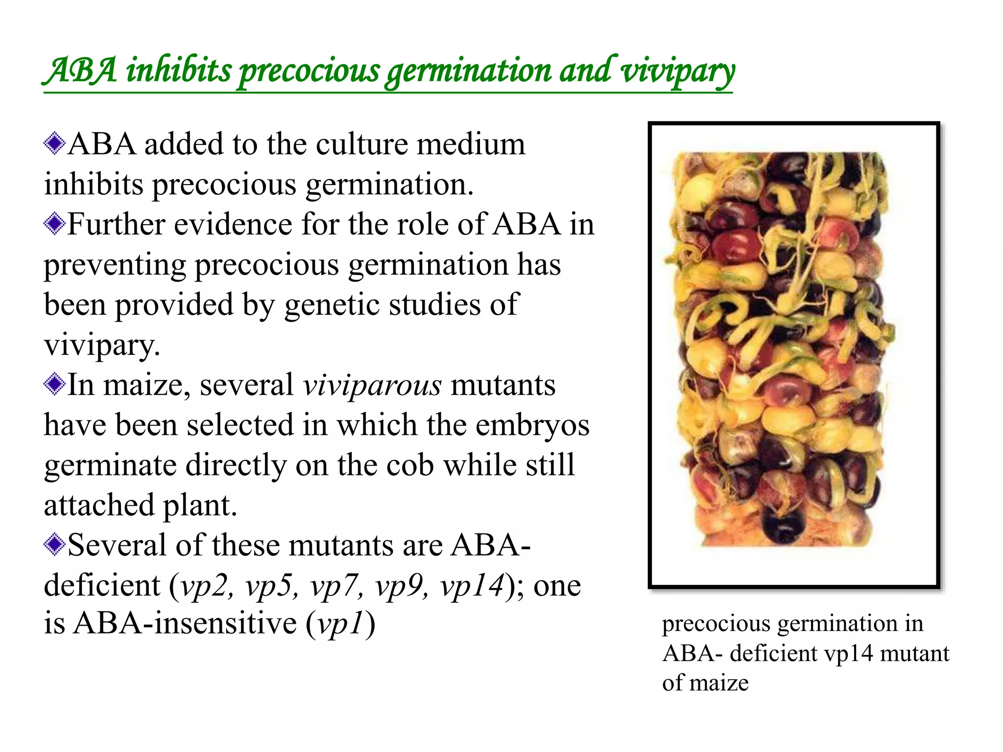 ABA Harmone Regulatory Pathway | PPTX