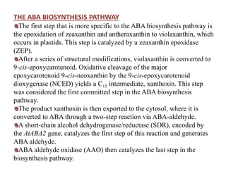 ABA Harmone Regulatory Pathway | PPTX