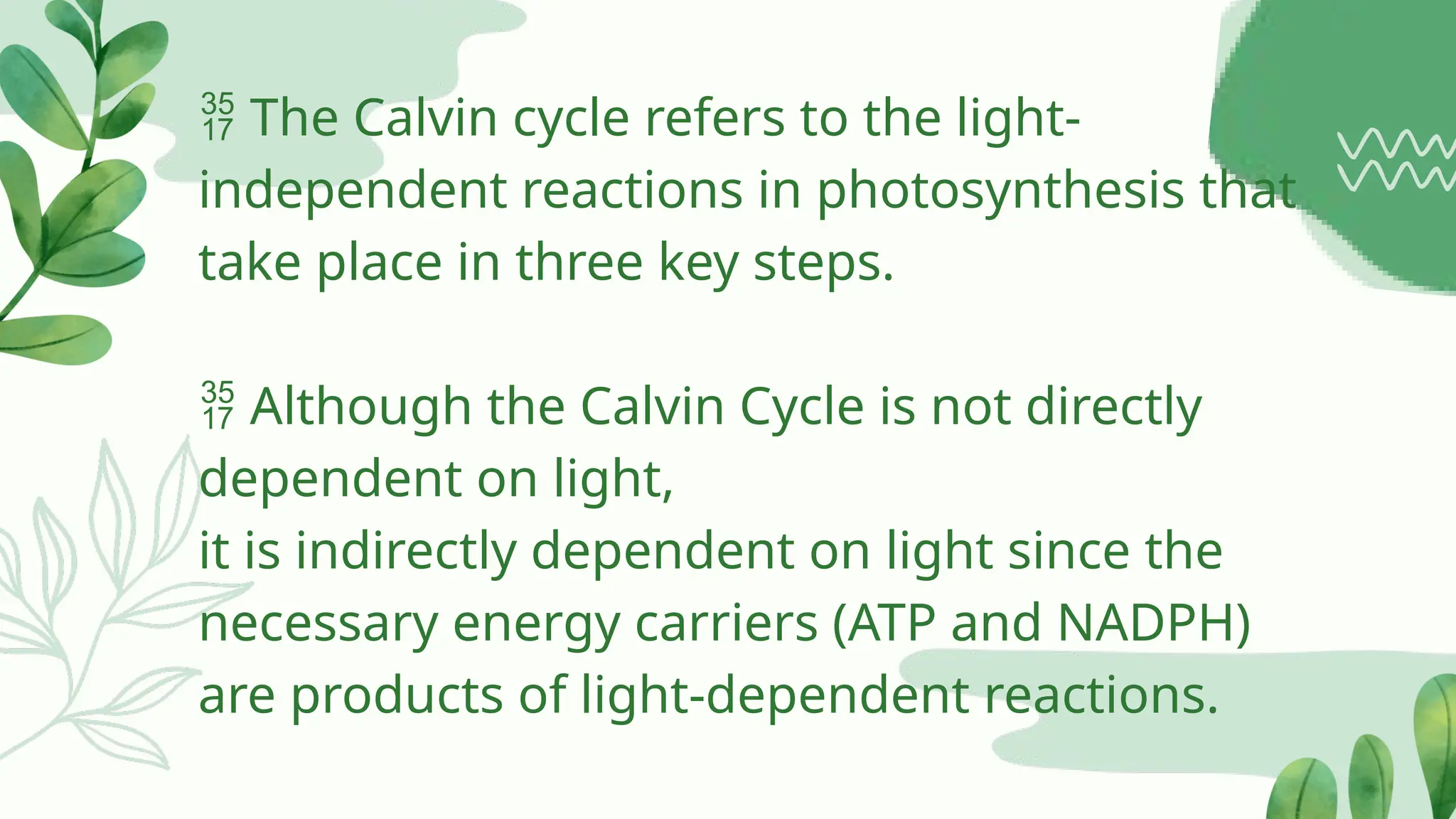 The Important events of the Calvin cycle General Biology | PPTX