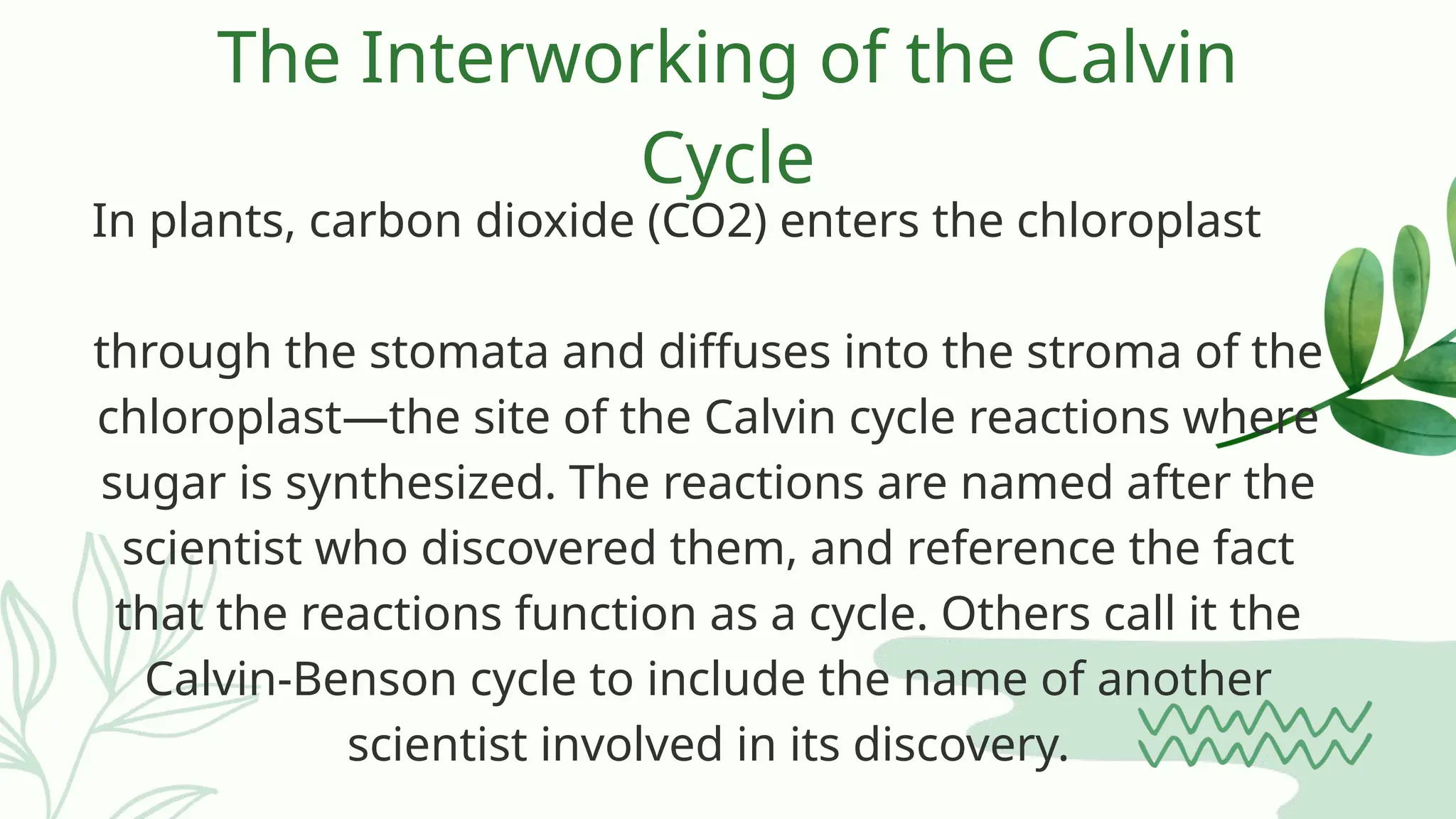 The Important events of the Calvin cycle General Biology | PPTX
