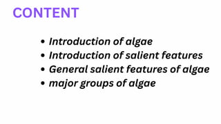 Sailent features of different groups of algae | PDF