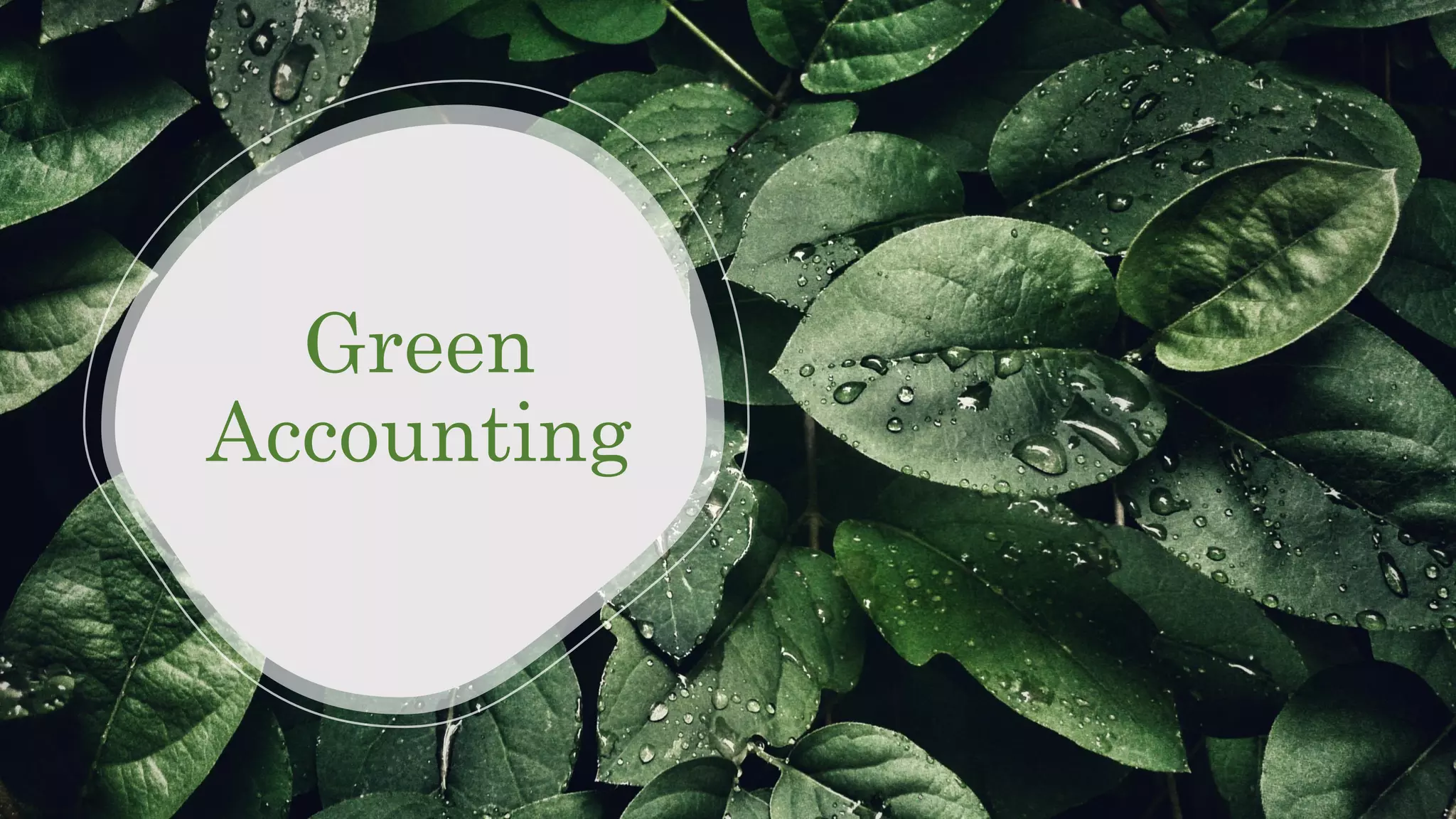 GreenAccounting | PDF