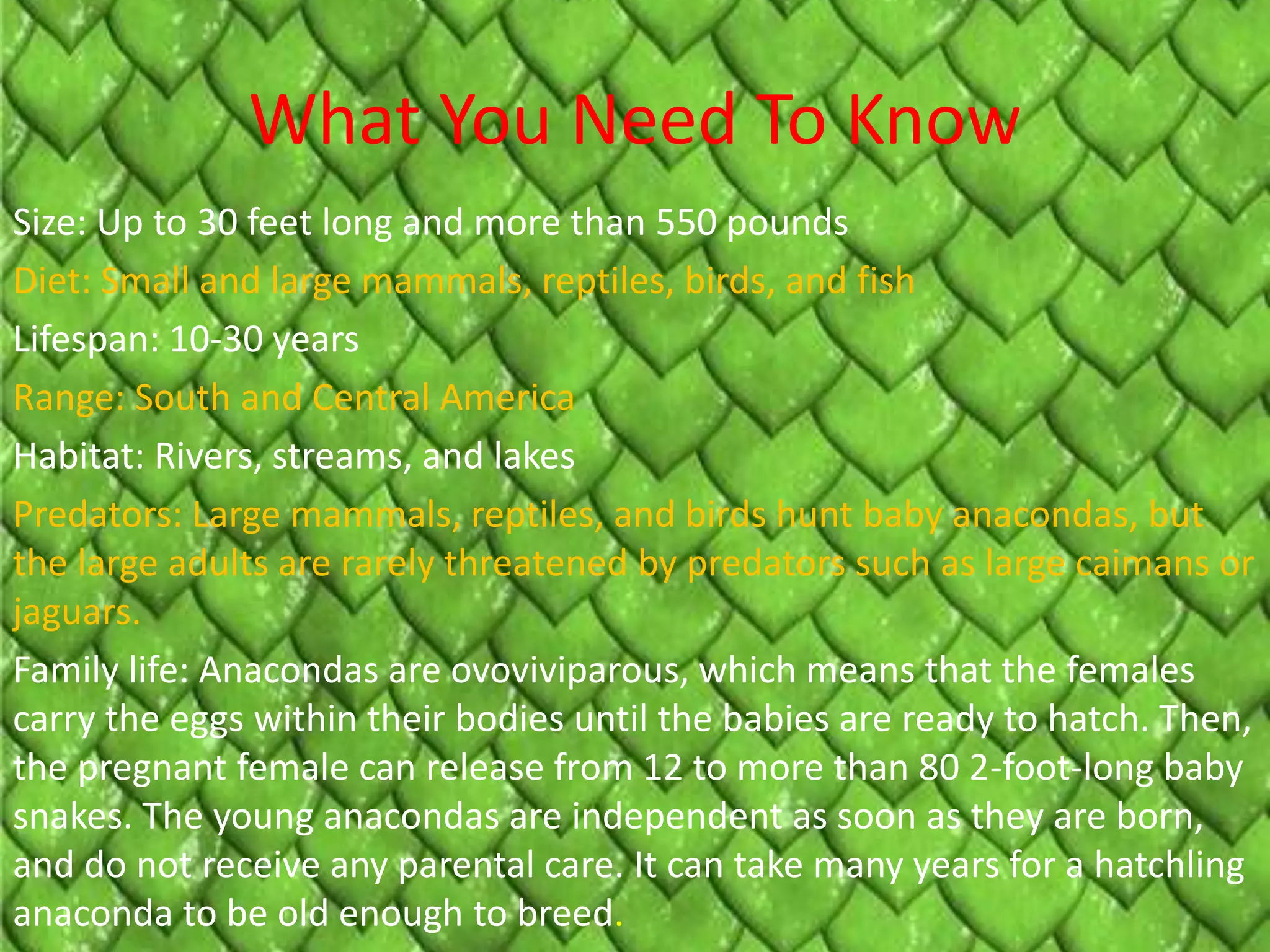 Green anaconda | PPTX