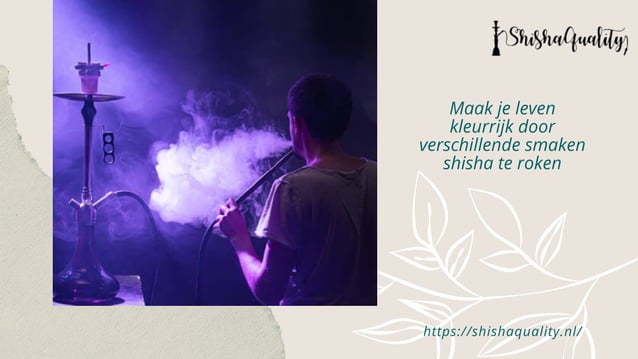 Shisha Quality | PDF