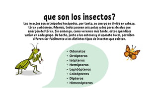 Science Class.pptx INSECTARIO Definición | PPTX