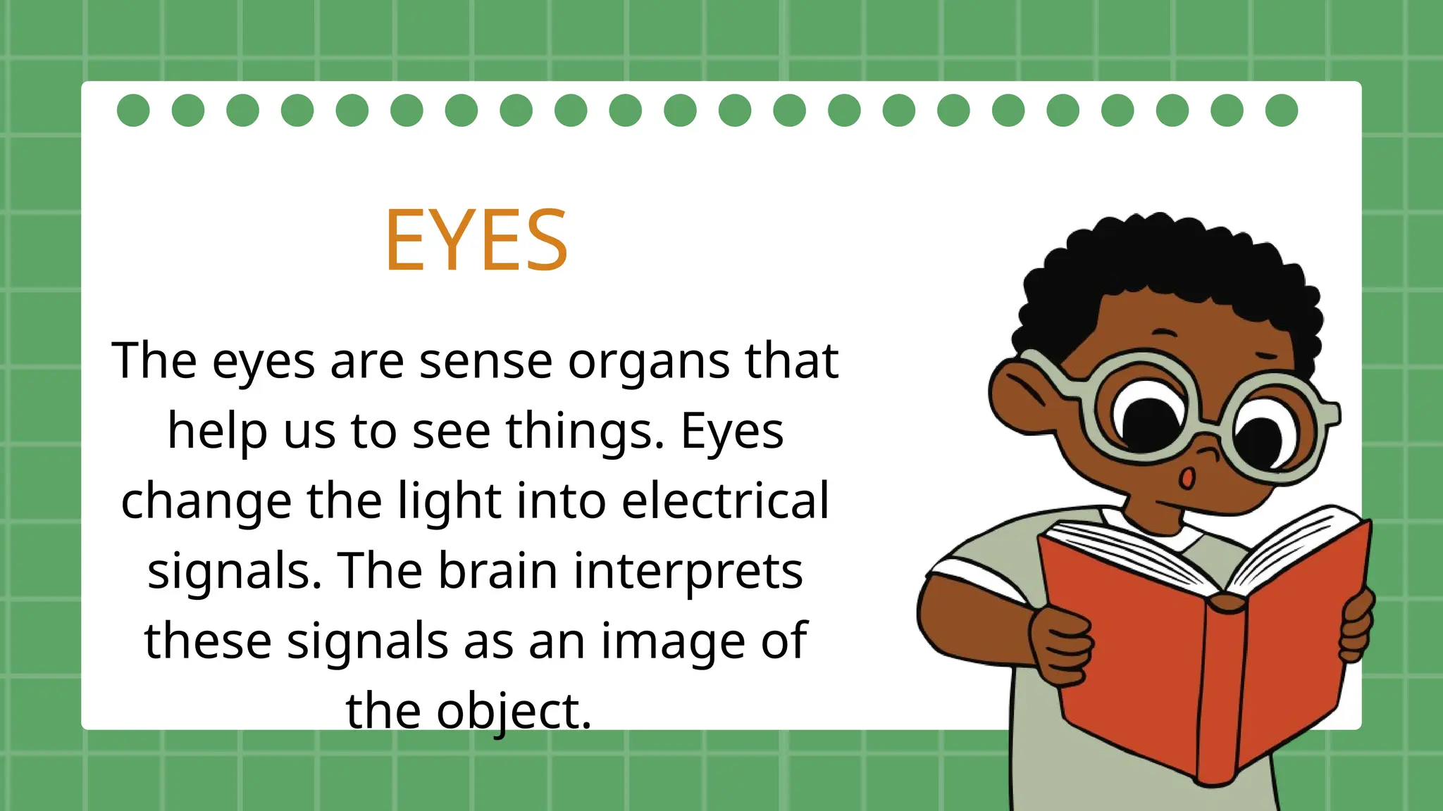 Green and Orange Illustrative Science Sense Organs Presentation (1).pptx