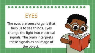 Green and Orange Illustrative Science Sense Organs Presentation (1).pptx