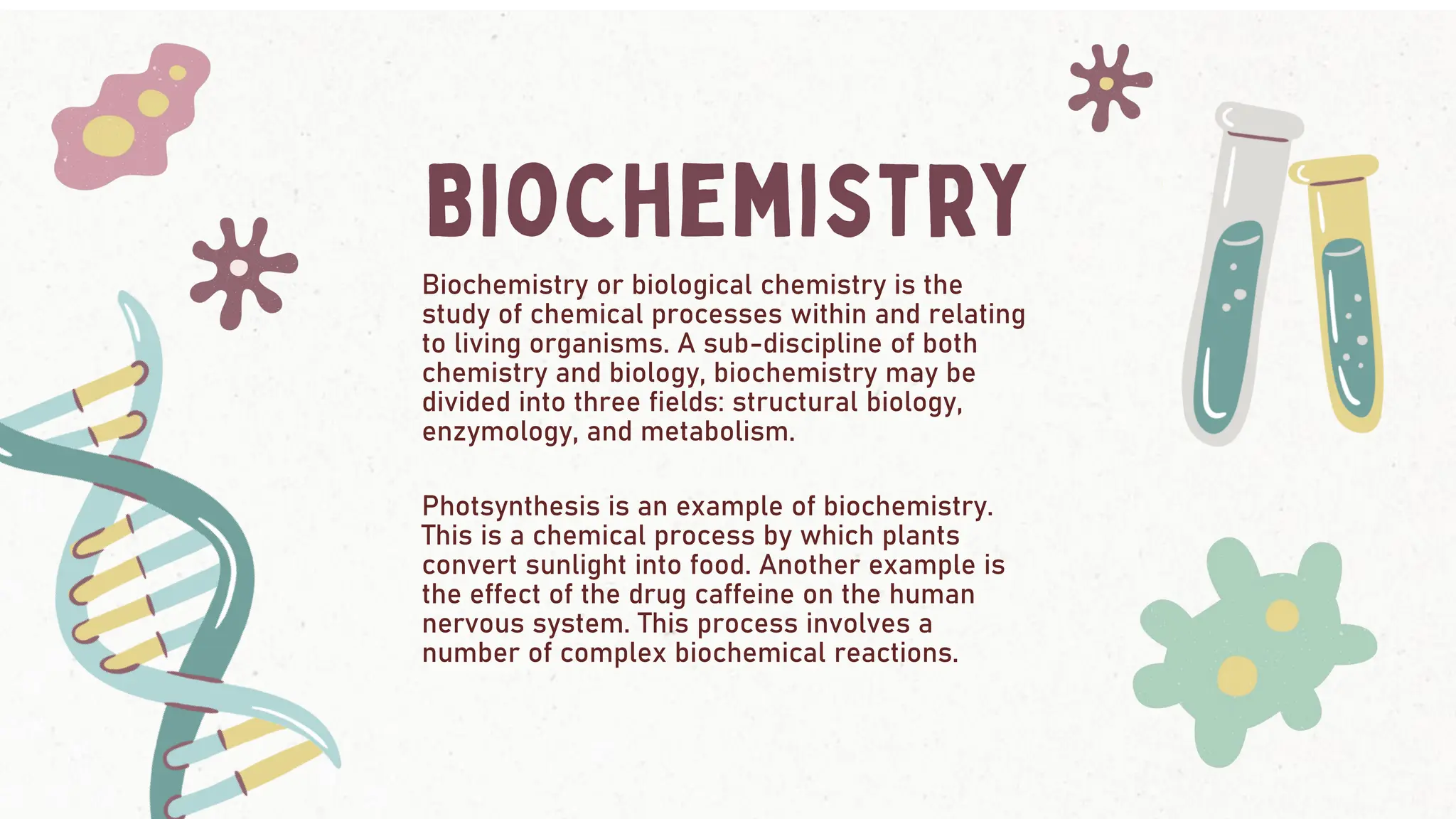 Chemistry Branches | PDF