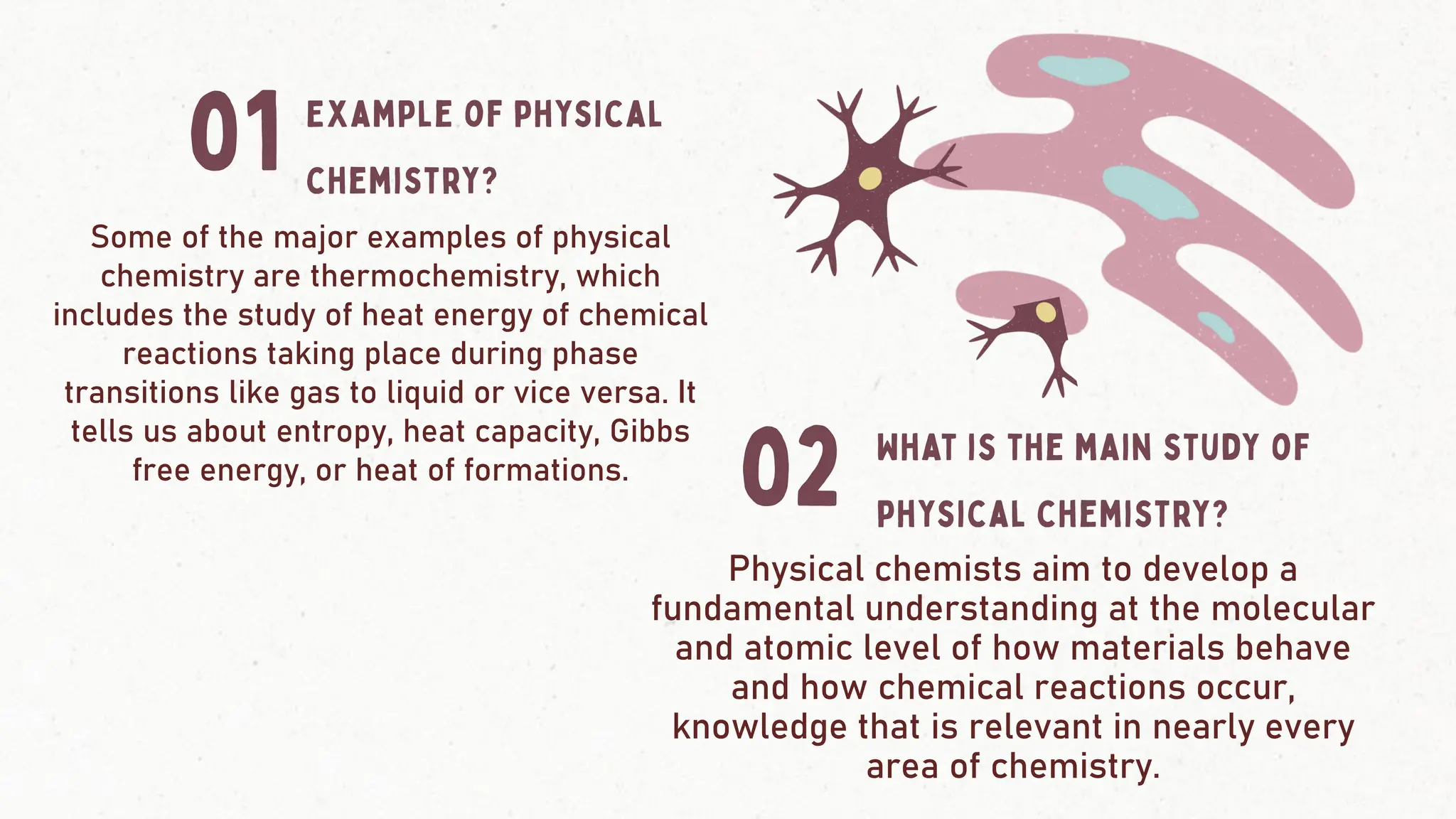 Chemistry Branches | PDF