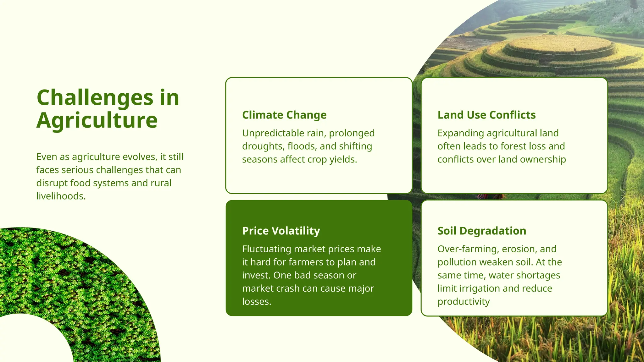 Modern Agriculture for Better Life Presentation.pptx