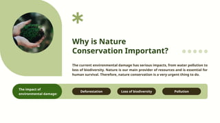 Green and White Simple Environmental Care Presentation.pptx