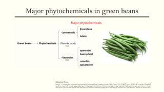 Food as Medicine: Green Beans, Phaseolus vulgaris | PDF