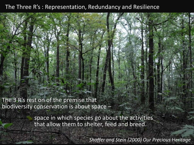 Forest Fragmentation: The States of Our Forests & Prospects for ...