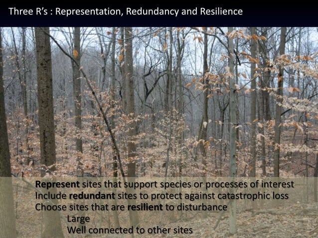 Forest Fragmentation: The States of Our Forests & Prospects for ...