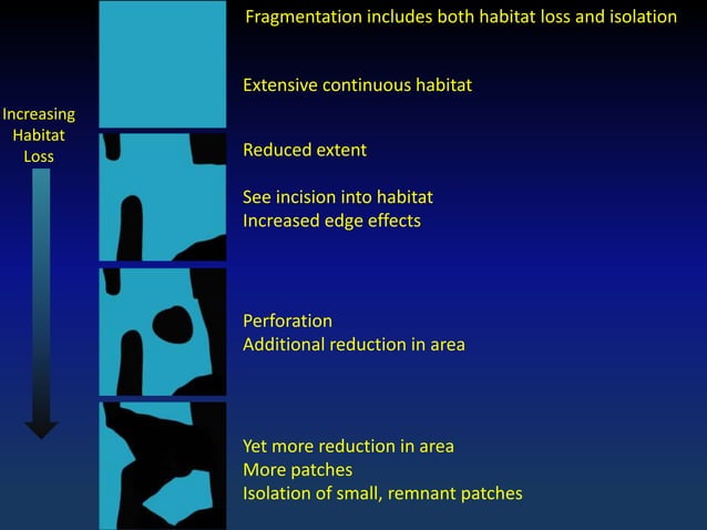 Forest Fragmentation: The States of Our Forests & Prospects for ...