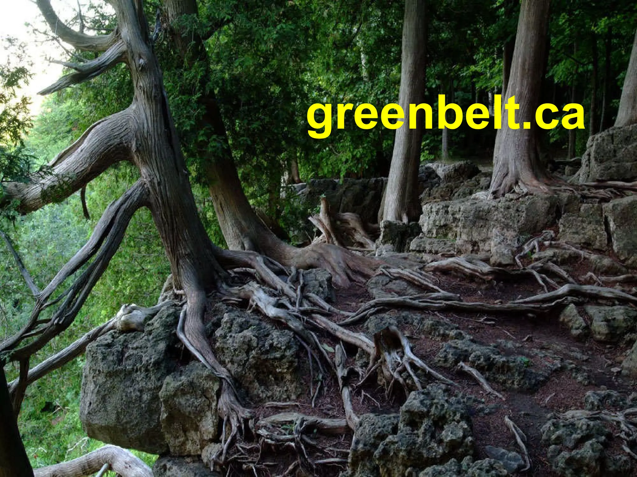 Greenbelt plan and foundation presentation | PPT