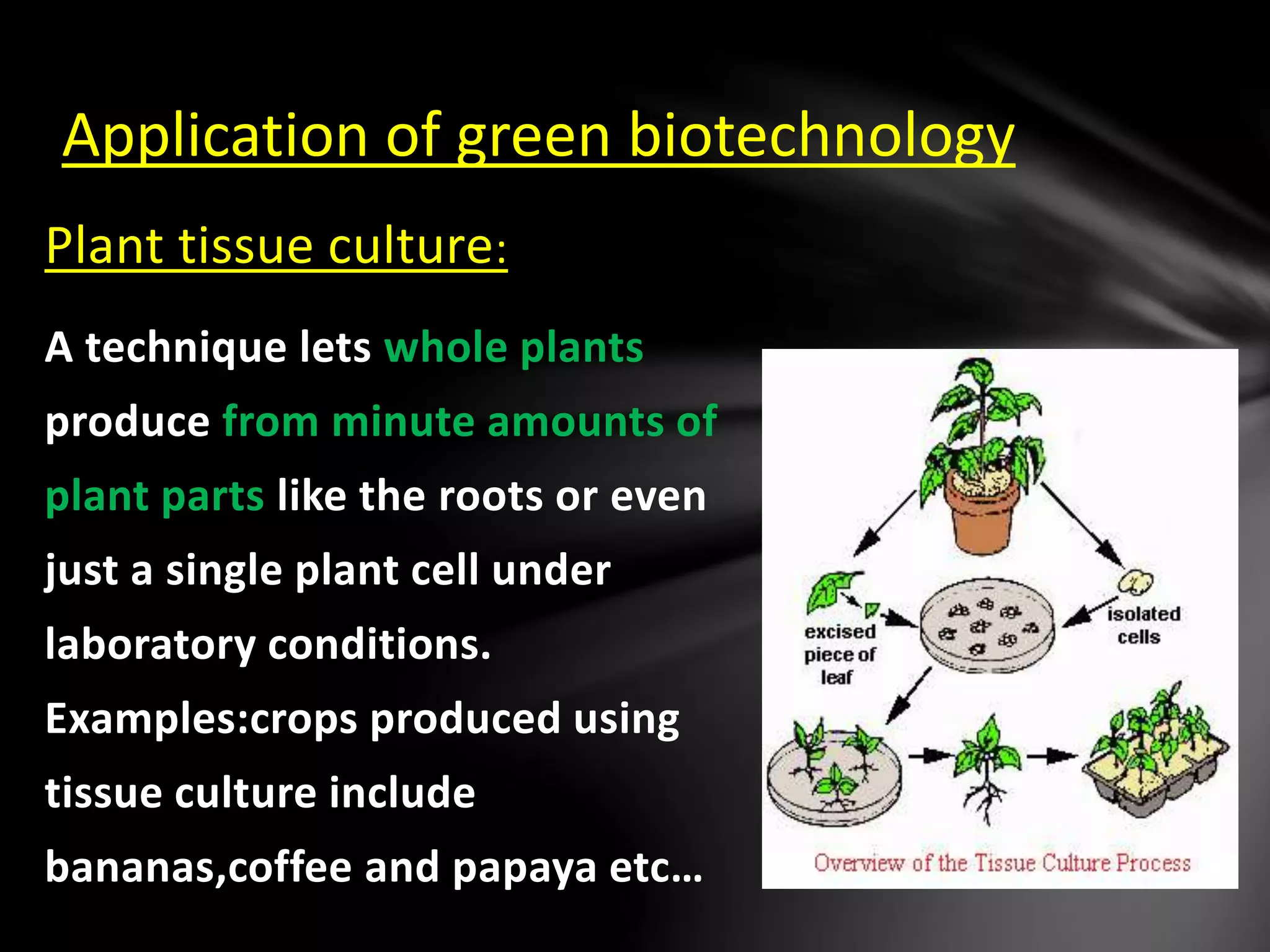 Green biotechnology | PPTX