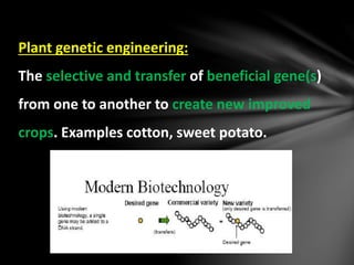 Green biotechnology | PPTX