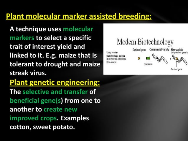 Green biotechnology | PPTX