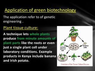 Examples Of Biotechnology In Plants