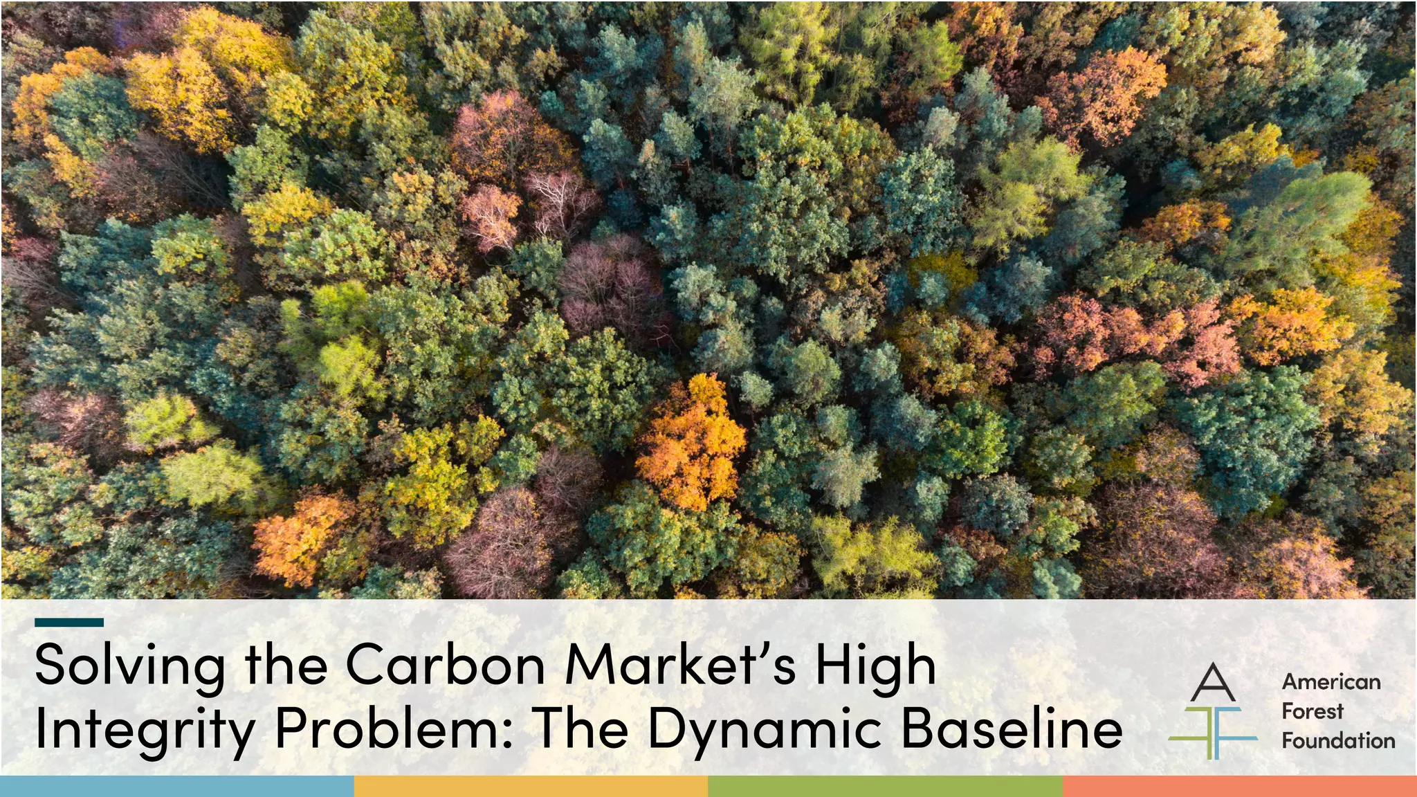 VERGE 22: Solving the Carbon Market’s Integrity Problem: Dynamic ...