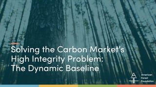 VERGE 22: Solving the Carbon Market’s Integrity Problem: Dynamic ...