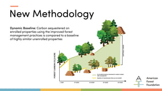 VERGE 22: Solving the Carbon Market’s Integrity Problem: Dynamic ...