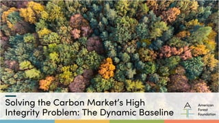 VERGE 22: Solving the Carbon Market’s Integrity Problem: Dynamic ...