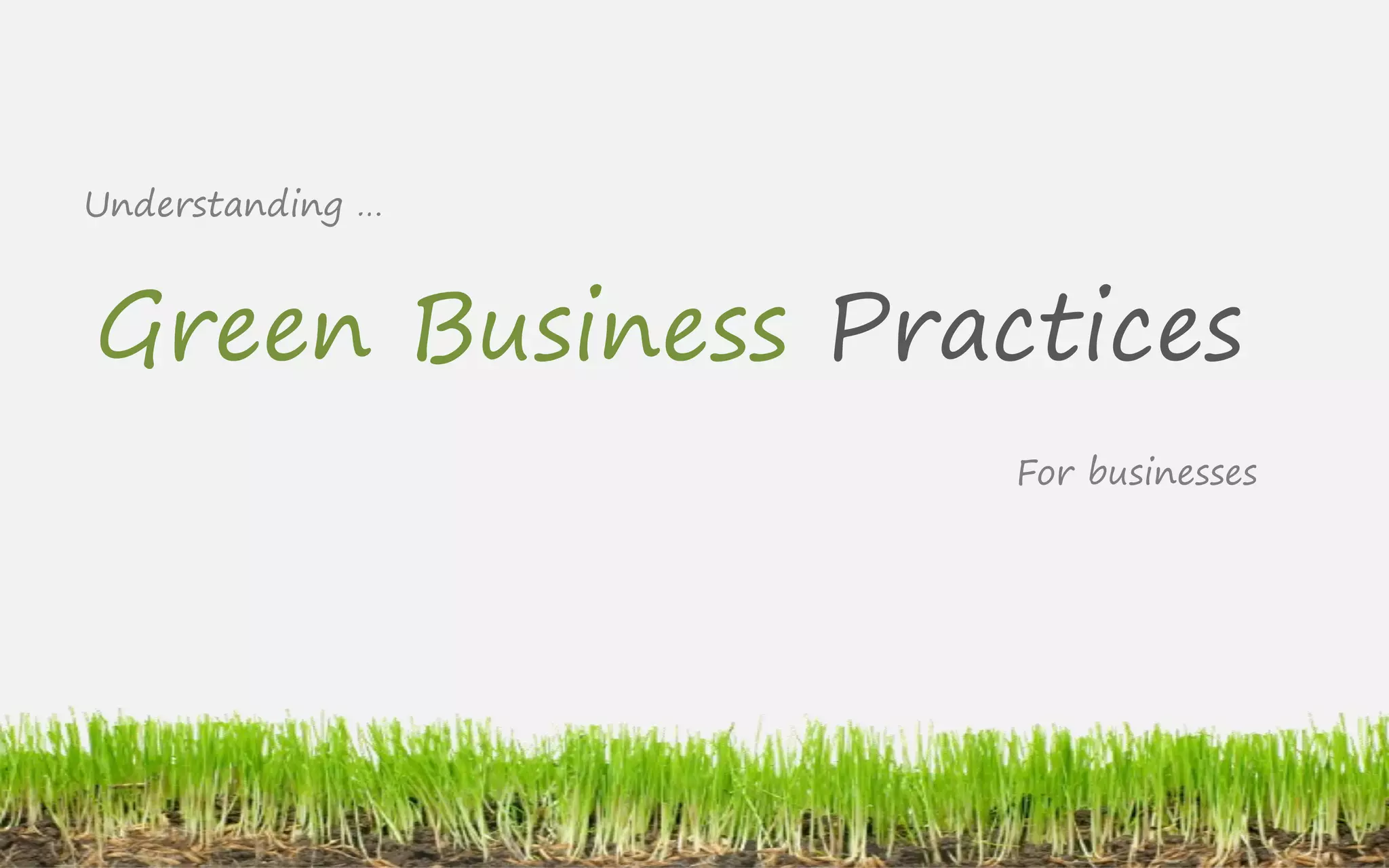 Green Business Practices | PDF