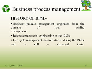Green business process management ppt | PPTX