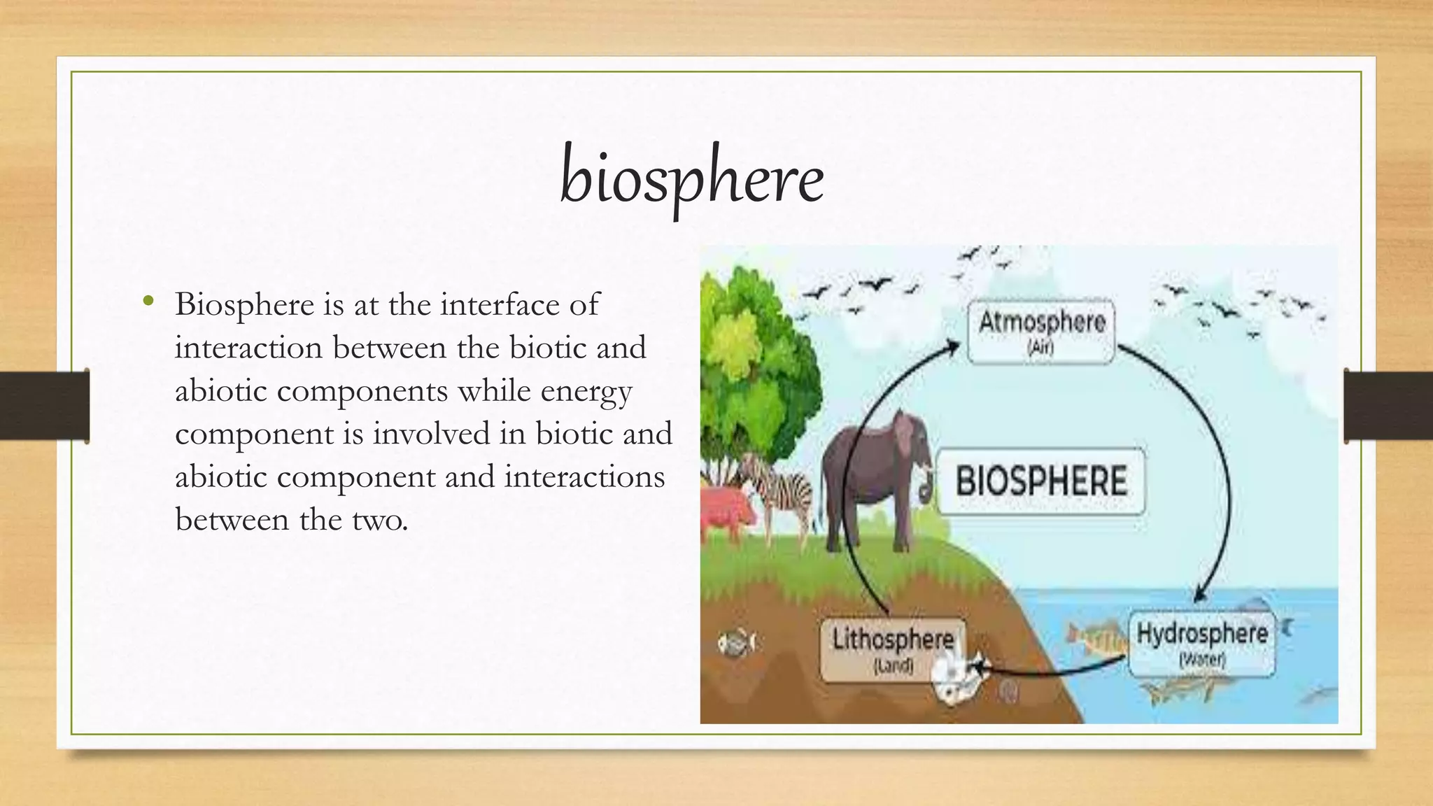 green chemistry -.pptx | Science