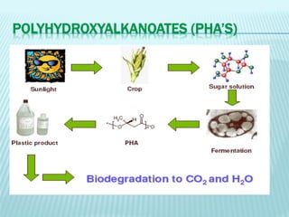 Green chemistry yashraj | PDF