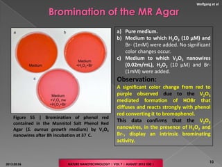 Vanadium pentoxide nanoparticles mimic vanadium haloperoxidases and ...