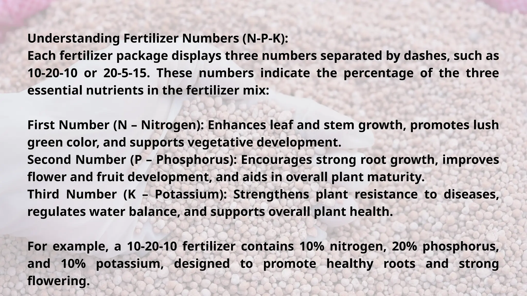 Understanding Fertilizer Numbers (N-P-K) | PPTX