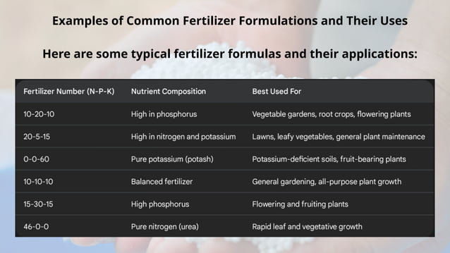Understanding Fertilizer Numbers (N-P-K) | PPTX