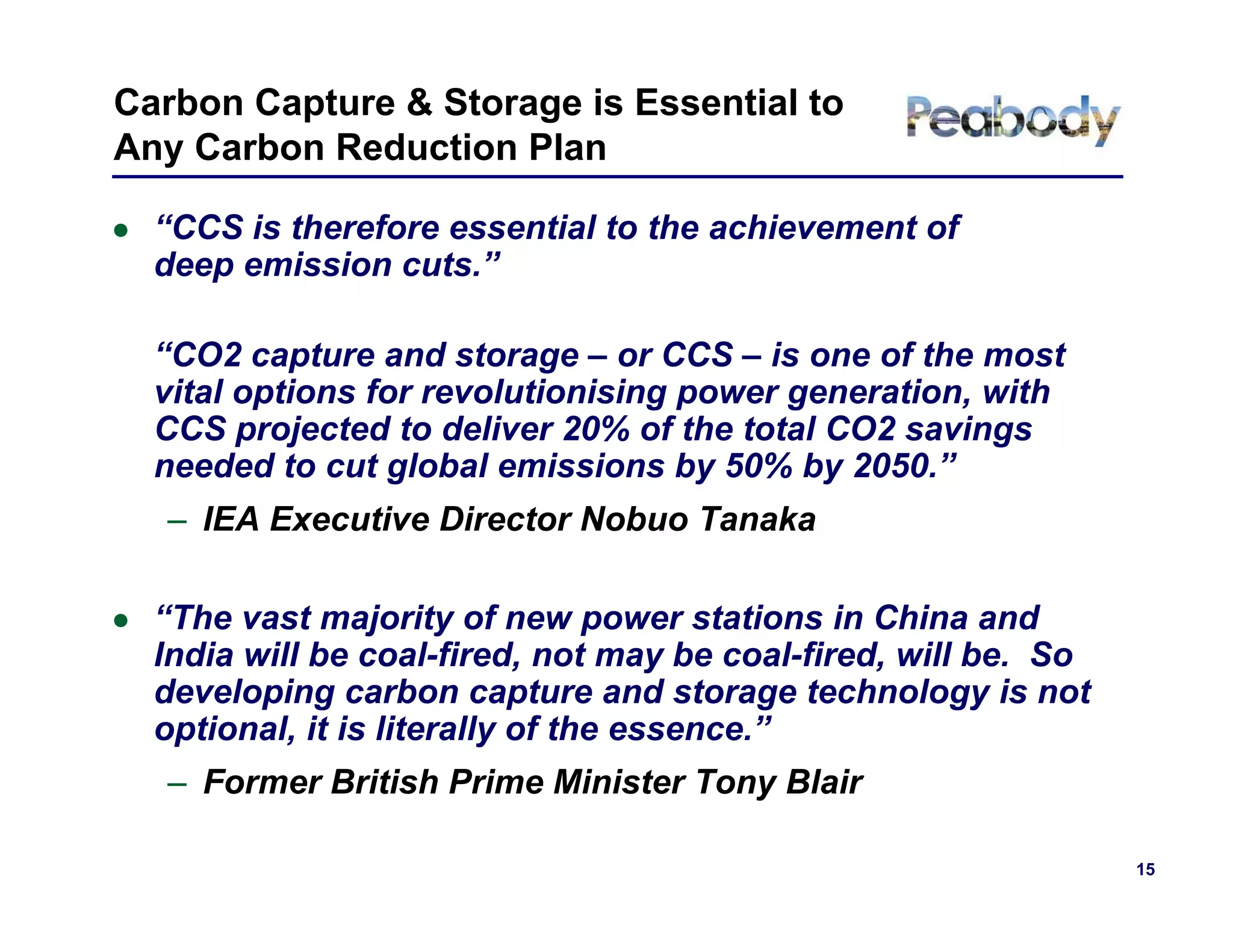 The Potential of Green Coal | PDF