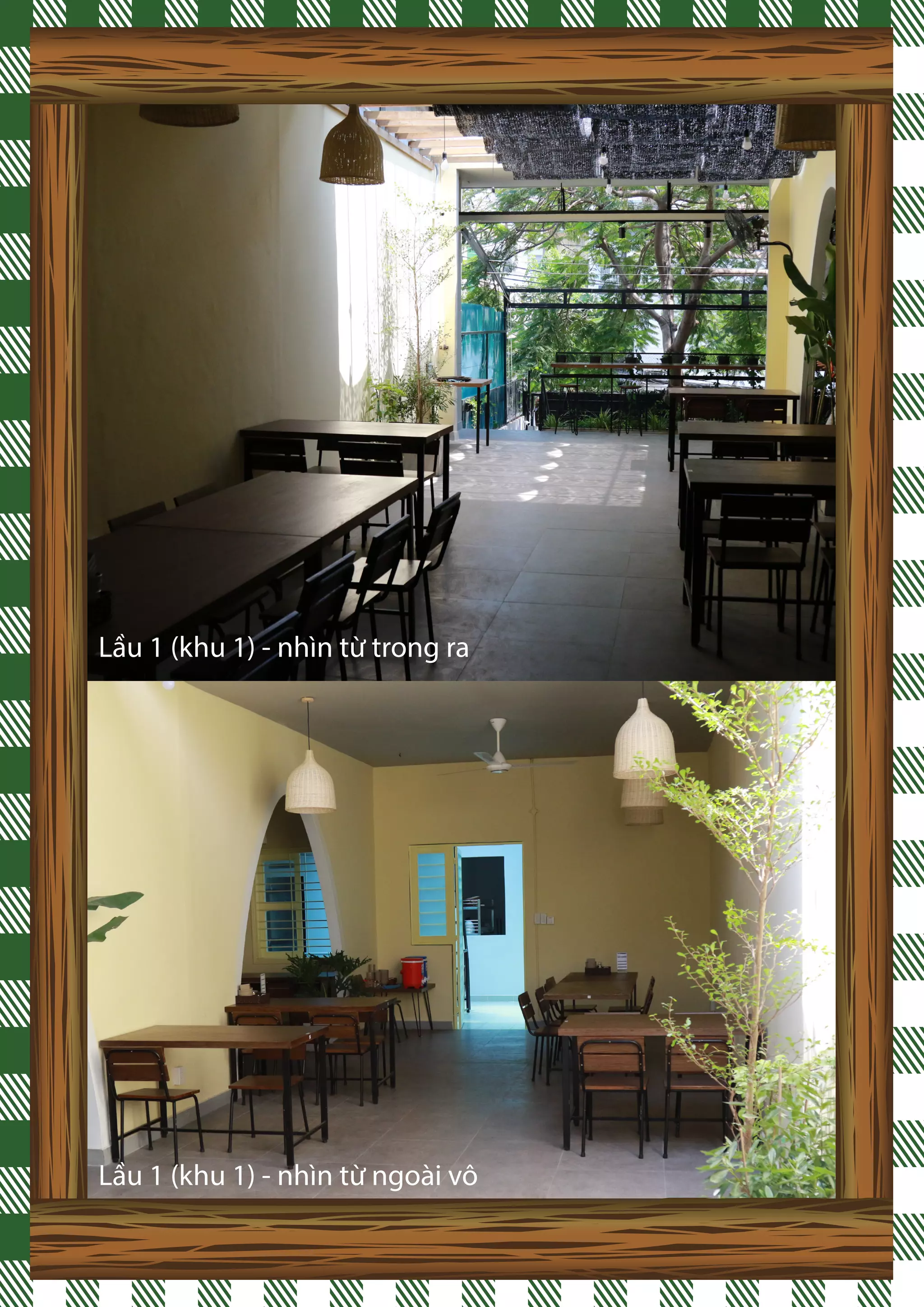 Green coffee profile (talkshow proposal) | PDF