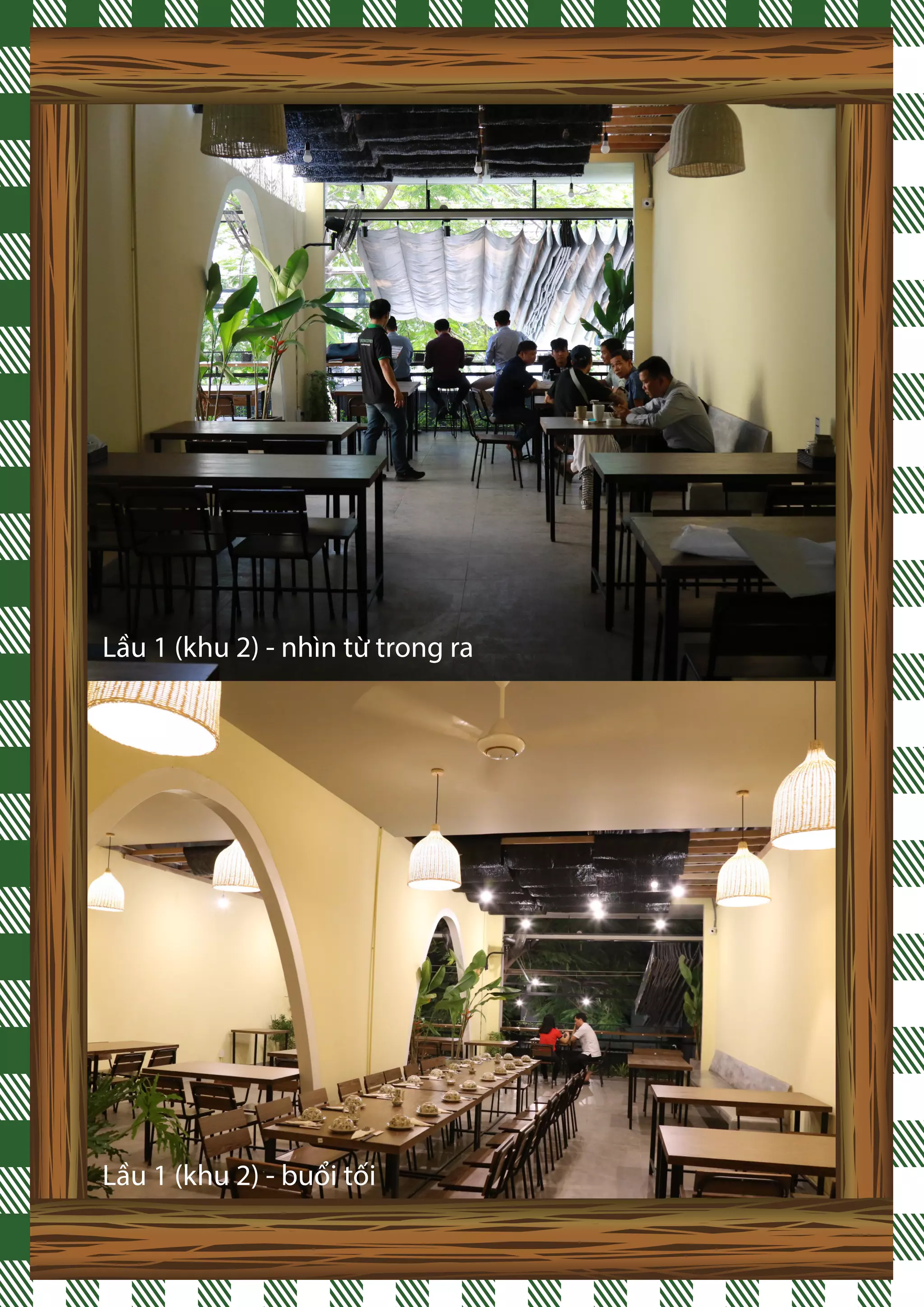 Green coffee profile (talkshow proposal) | PDF