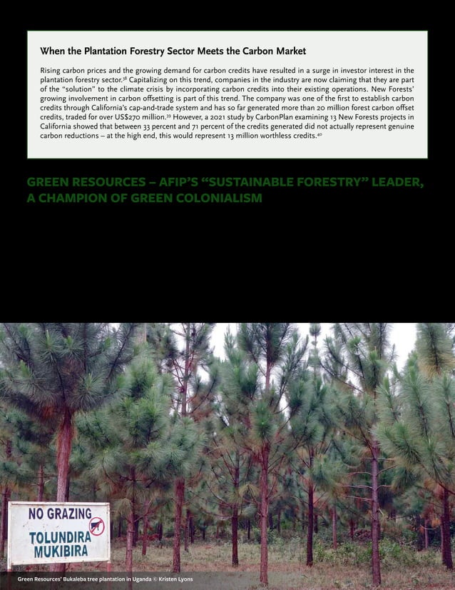 Green Colonialism 2.0: Tree Plantations and Carbon Offsets in Africa | PDF
